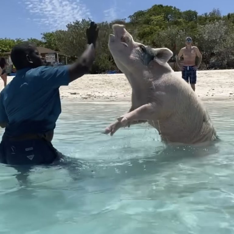 How To Visit Exuma On A Budget - mymermaidsoul.com