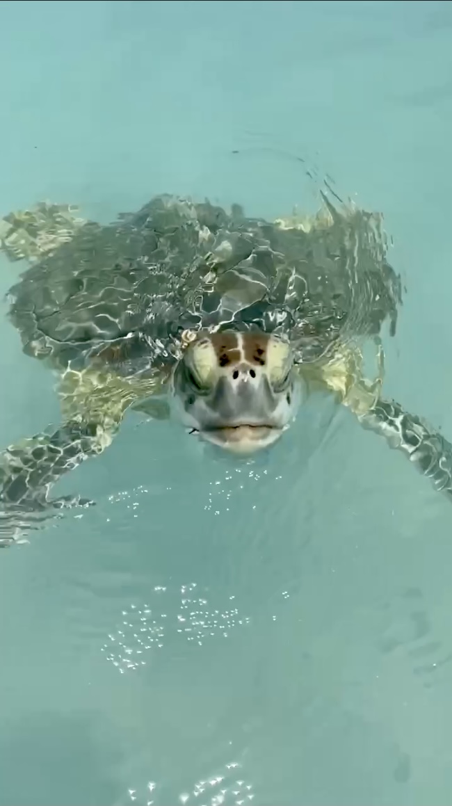 How To Visit Exuma On A Budget - mymermaidsoul.com