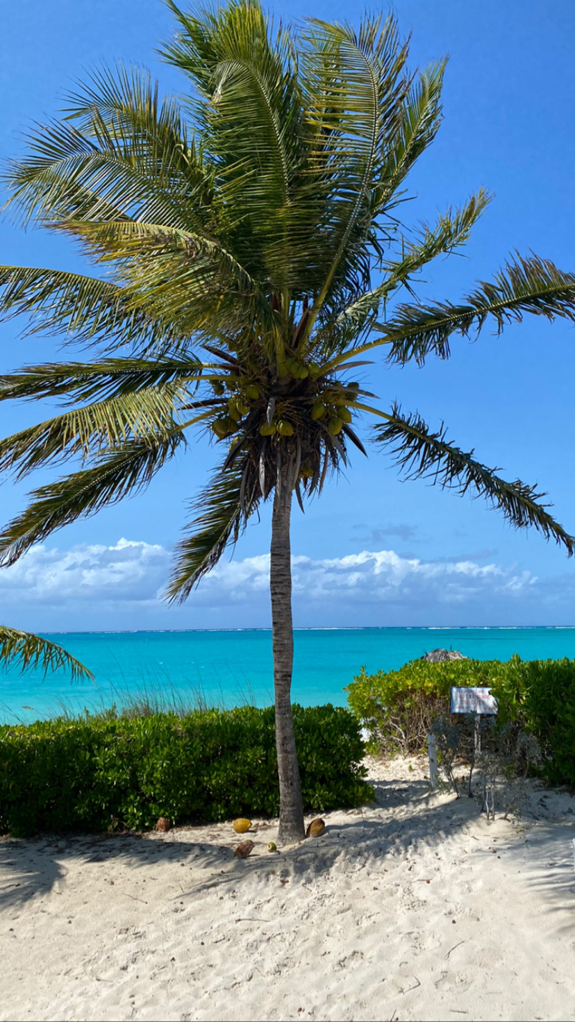 How To Visit Exuma On A Budget - mymermaidsoul.com